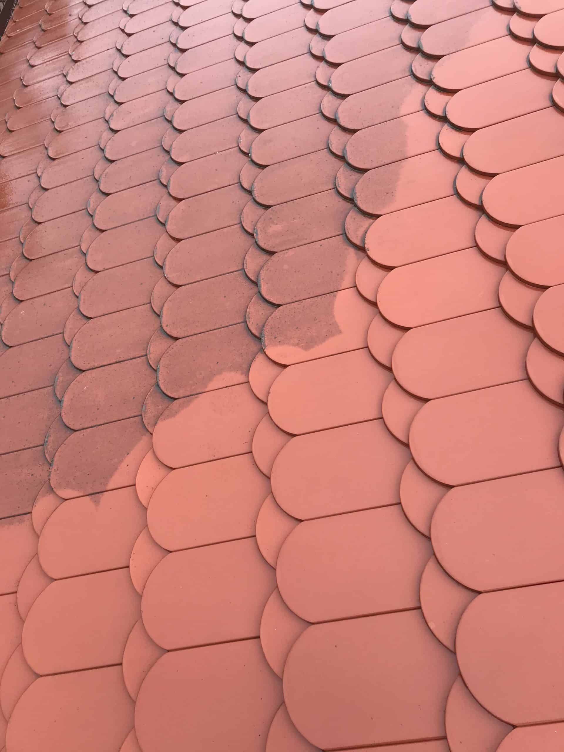 Galeria - Usługi czyszczenia Wash Complex Poznań